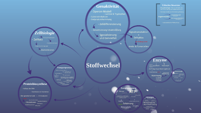 Stoffwechsel-Mindmap 1. Semester by Nadine Thomsen on Prezi