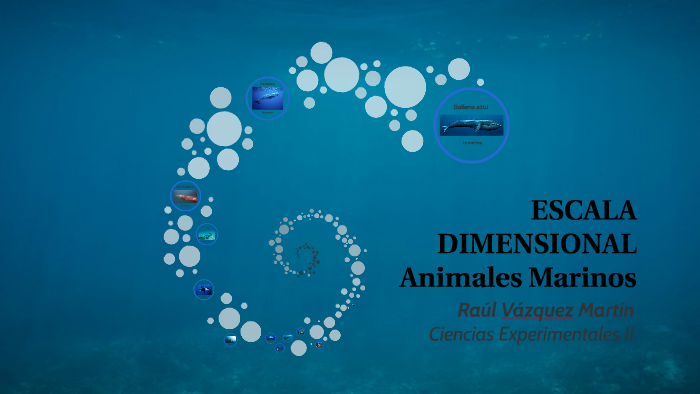 Escala dimensional de animales marinos by Raúl Vázquez Martín on Prezi