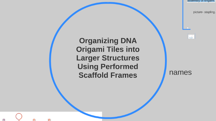 Organizing DNA Origami Tiles into Larger Structures Using Pe by Kara ...