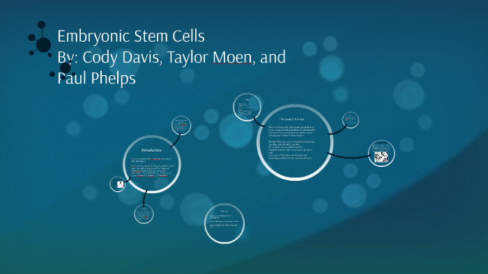 Embryonic Stem Cells by taylor moen on Prezi