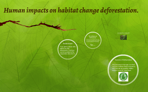 Human impacts on habitat change deforestation. by junior lewis on Prezi