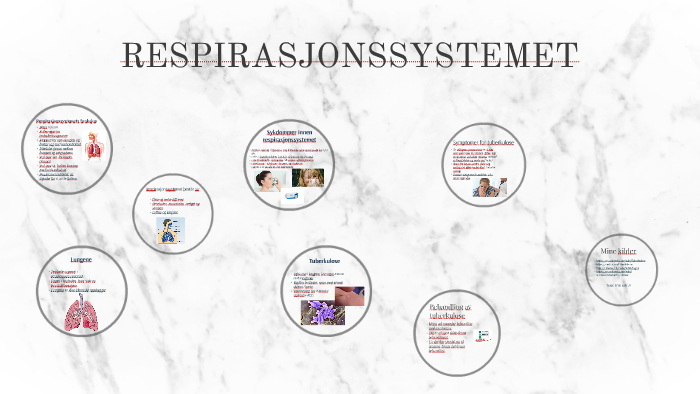 RESPIRASJONSSYSTEMET by Charlotte Rutger on Prezi