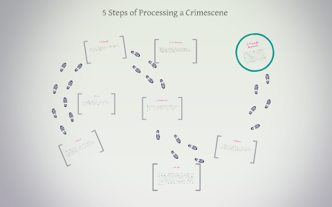 5 Steps of Processing a Crimescene by Joe Welbourn on Prezi
