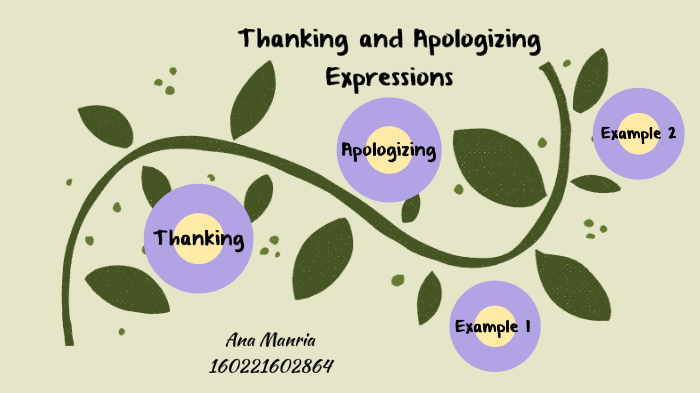 Thanking and Apologizing Expressions by Ana Manria on Prezi