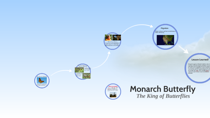 Monarch Butterfly (Dia de los muertos) by Katia Saunders on Prezi