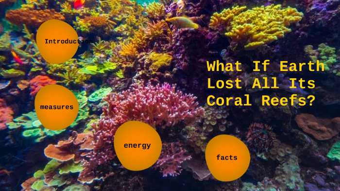 What If Earth Lost All Its Coral Reefs? by Cristian Pasquel on Prezi