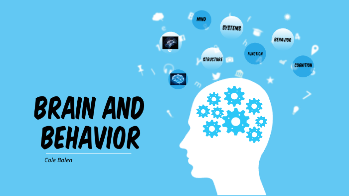 Brain and Behavior: Mind Map by Cole Bolen on Prezi