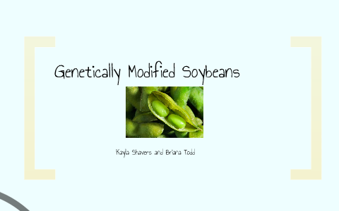 Genetically Modified Soybeans by Briana Todd