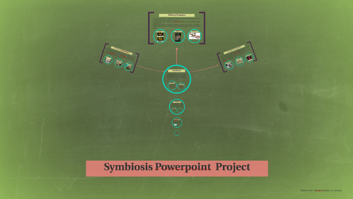 Symbiosis Power point Project by Faith Swartz on Prezi