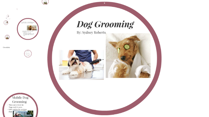 Dog grooming by sydney roberts on Prezi