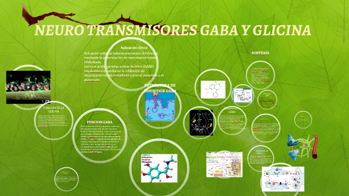 NEURO TRANSMISORES GABA Y GLICINA by Rony Muñoz González on Prezi