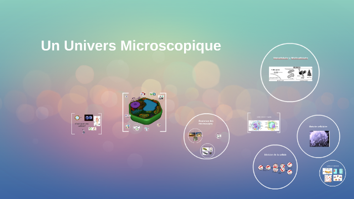 Les cellules et vous by Samia Anwar on Prezi