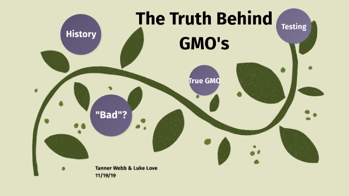 The Truth Behind GMO's by Luke Love on Prezi