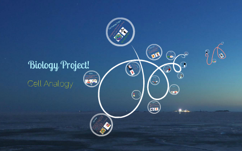 Cell Analogy with the Human Body by Lupe Escobar on Prezi Next