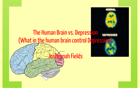 The Human Brain vs. Depression by Josheynah Fields on Prezi