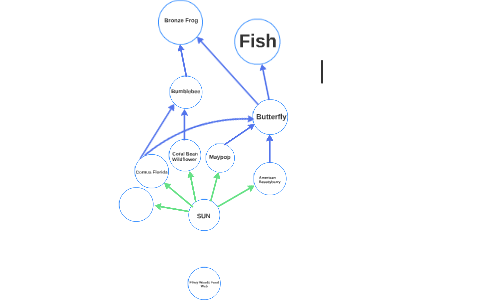 Piney Woods Food Web by Hans Choi on Prezi