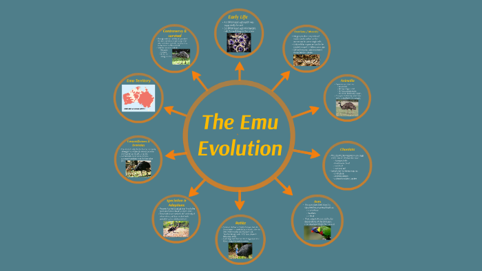 The Emu Evolution by Dean Cowdroy on Prezi
