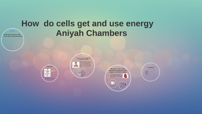 How do cells get and use energy by Aniyah Chambers