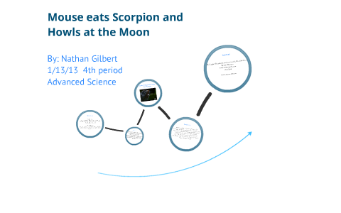 Mouse eats Scorpion and Howls at the Moon by Nathan Gilbert on Prezi