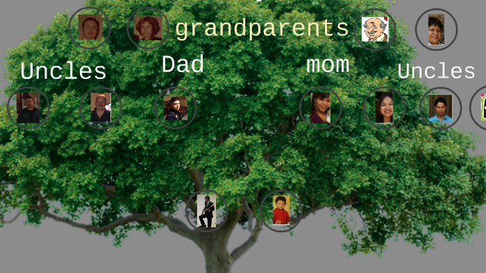Family Tree by irvin Garcia Gallardo on Prezi