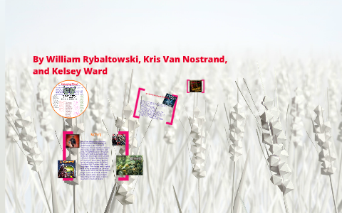 Science Fiction Music and the Cosmogonic Cycle by William Rybaltowski ...