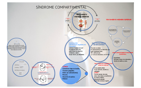 SÍNDROME COMPARTIMENTAL by Leonardo Correa on Prezi