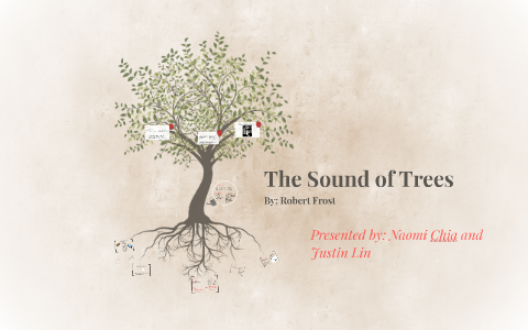 The Sound of Trees by Naomi Chia on Prezi