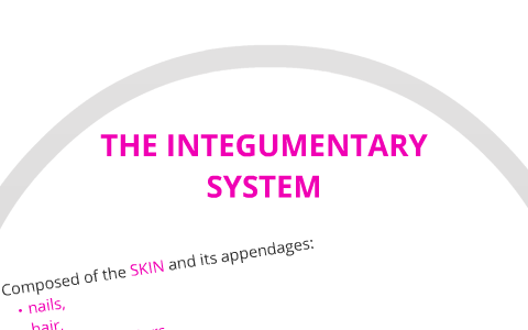 The Integumentary System - Fingerprinting by Kareen Martin on Prezi