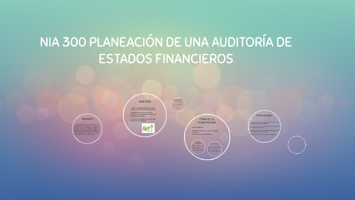 NIA 300 PLANEACIÓN DE UNA AUDITORÍA DE ESTADOS FINANCIEROS by diana ...