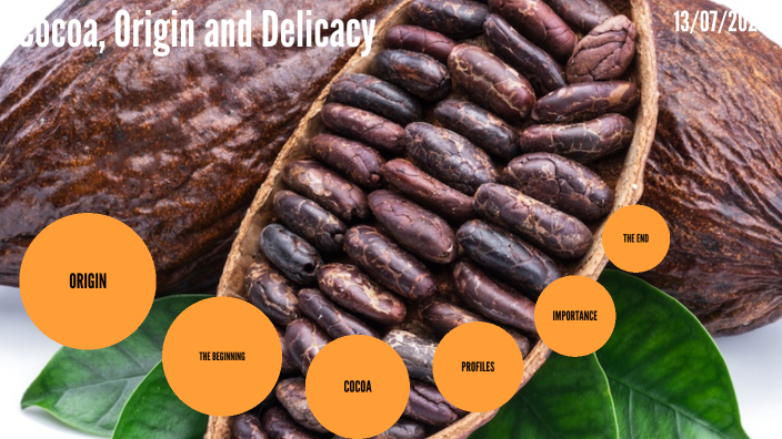 Cocoa, Origin and Delicacy by Ayleen Ruiz Montero on Prezi