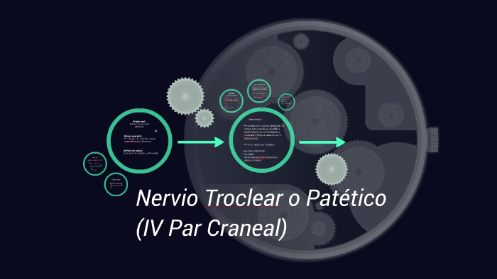 Función Del Nervio Troclear