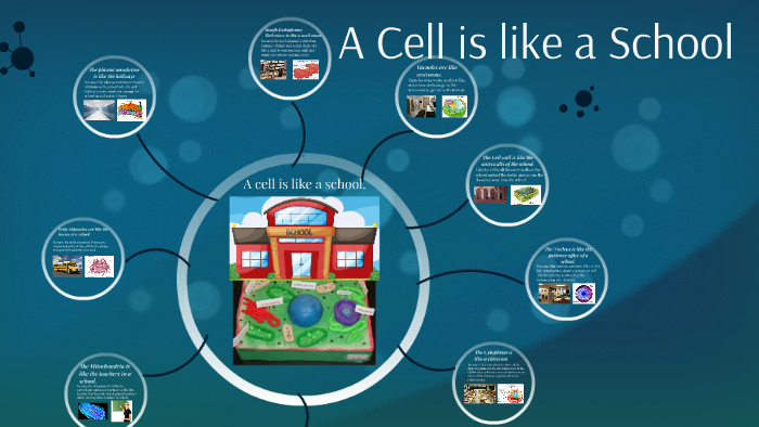 A Cell is like a School by Kirsten Coffey on Prezi