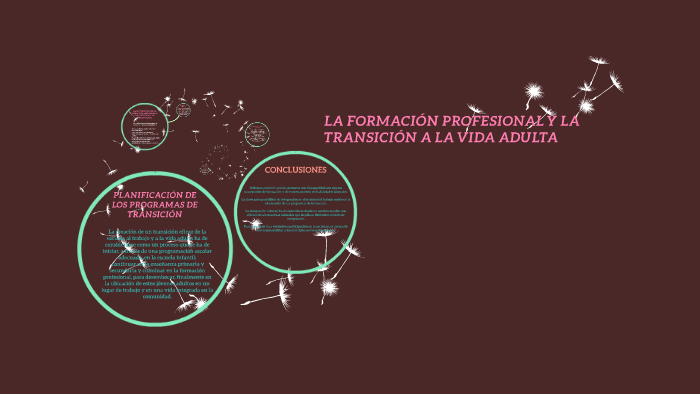 LA FORMACIÓN PROFESIONAL Y LA TRANSICIÓN A LA VIDA ADULTA by Evelina ...