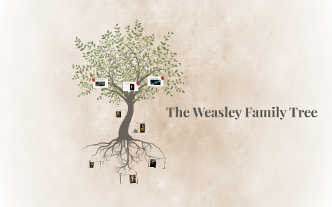 The Weasley Family Tree by Lucas Baum on Prezi