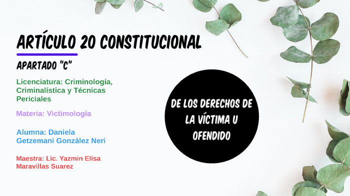 ARTÍCULO 20 CONSTITUCIONAL by Daniela Neri on Prezi