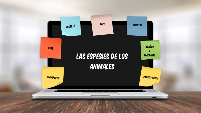las espesies de animales by sneyder edu falconi naranjo on Prezi