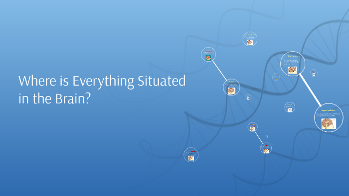 The Brain by Simran Dhatt-Gauthier on Prezi