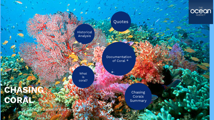 Chasing Corals by Syed Akbar on Prezi