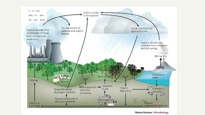 Hvad er svovl? by Sebastian Kierk on Prezi