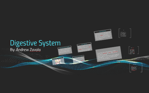 Digestive System by Andrew Zavala on Prezi