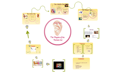The Physics of the Human Ear by Brianna Sitwell on Prezi
