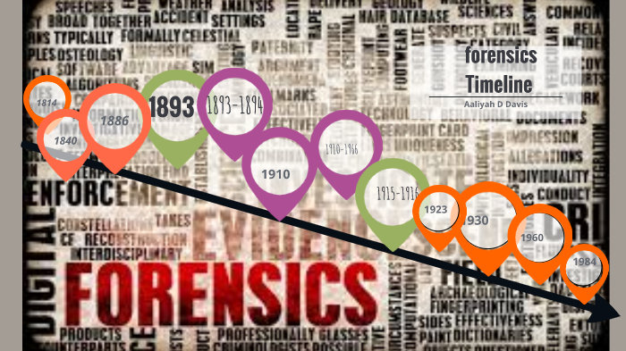 forensic timeline by Destiny Winchester on Prezi