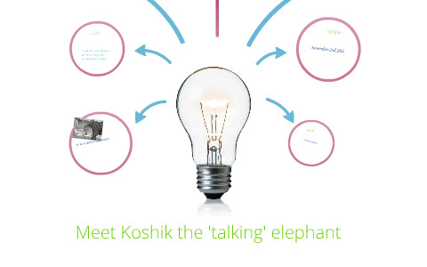 Meet Koshik the 'talking' elephant by Jaydan Student on Prezi