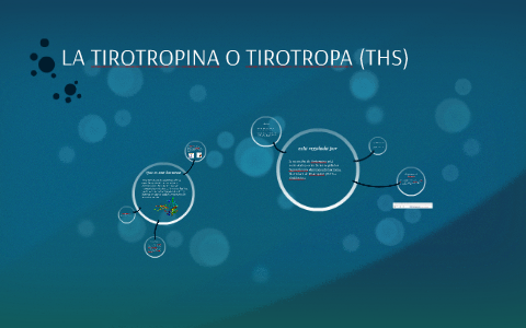LA TIROTROPINA O TIROTOPA (THS) by Carloss Skiimo on Prezi