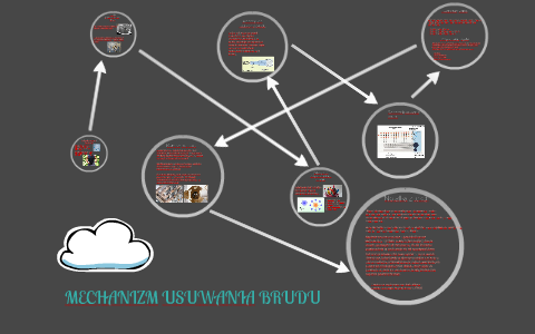 MECHANIZM USUWANIA BRUDU by Aleksandra Bogocz on Prezi