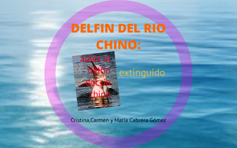 DELFIN DEL RIO CHINO by on Prezi