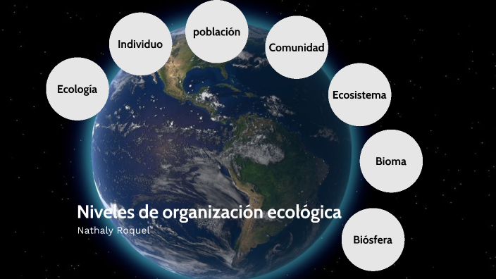 Niveles de organización ecológica by Nathaly Roquel on Prezi
