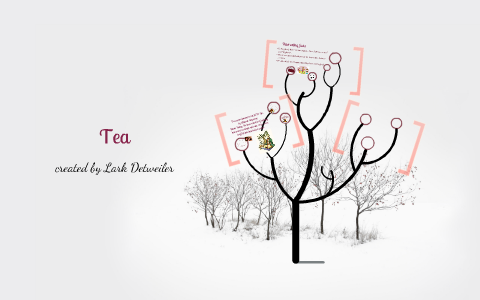 Tea presentation by Lark Detweiler on Prezi