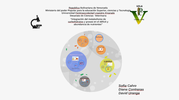 “Integración del metabolismo de carbohidratos y grasas en el by David ...
