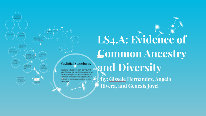 LS4.A: Evidence of Common Ancestry and Diversity by Angela Rivera on Prezi